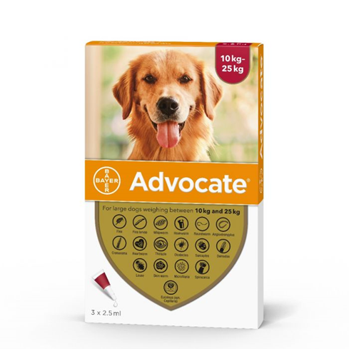 Advocate® spot on za pse 10-25kg (imidakloprid, moksidektin) pipeta 1x2 ...